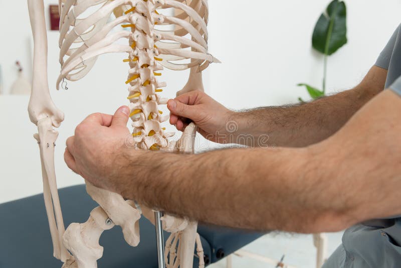 Doctor Man Pointing on Pelvis of Human Skeleton Anatomical Model ...