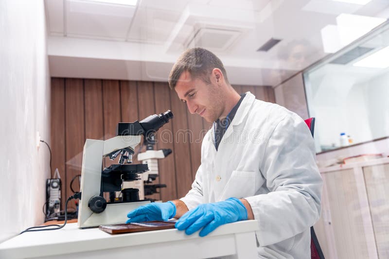 Doctor Performing Medical Research with Samples and Microscope Stock ...