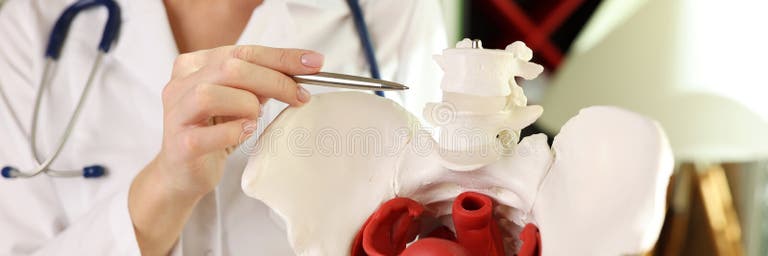 214 Artificial Uterus Stock Photos - Free & Royalty-Free Stock Photos ... 214 Artificial Uterus Stock Photos - Free & Royalty-Free Stock Photos ...