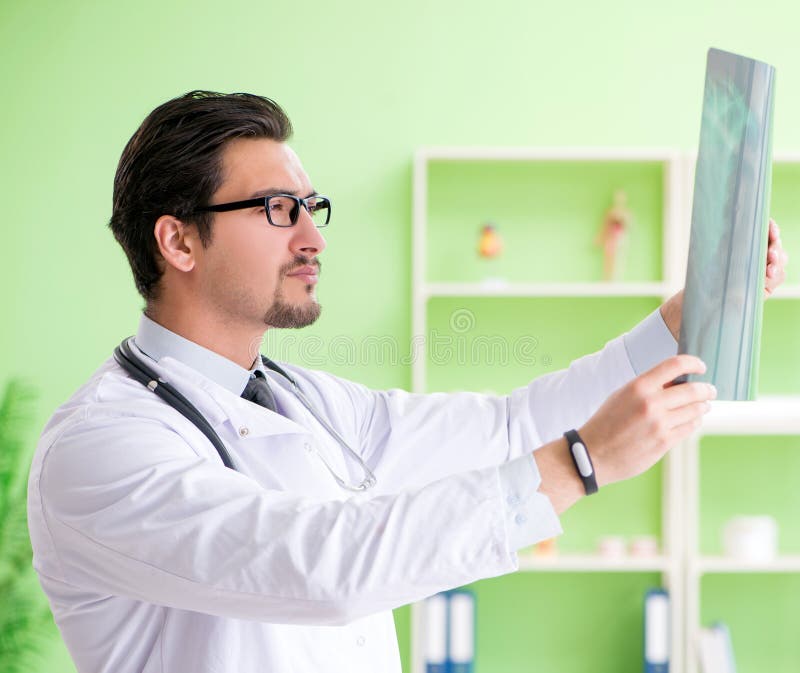 Doctor Radiologist Looking at X-ray Scan in Hospital Stock Image ...
