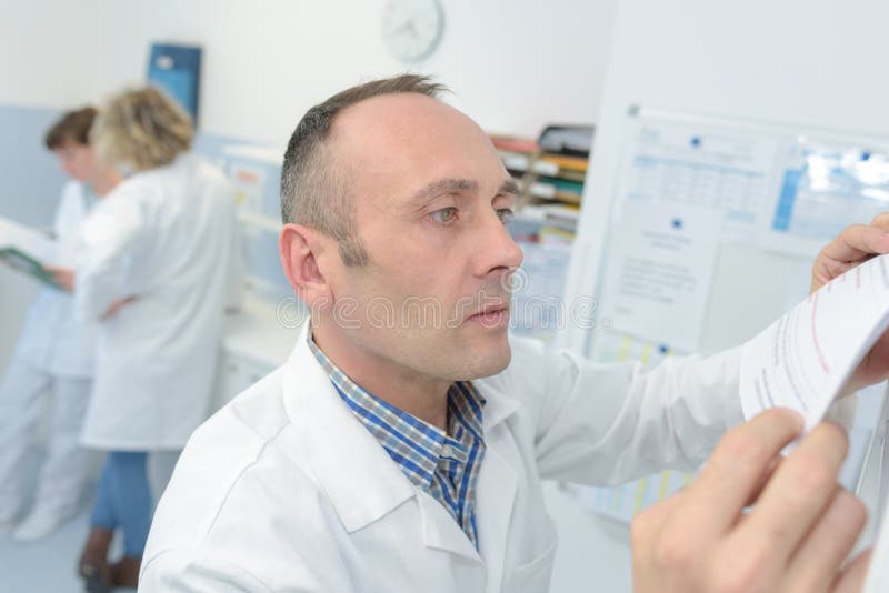 Doctor Reading Paperwork on Wall Stock Photo - Image of medical ...