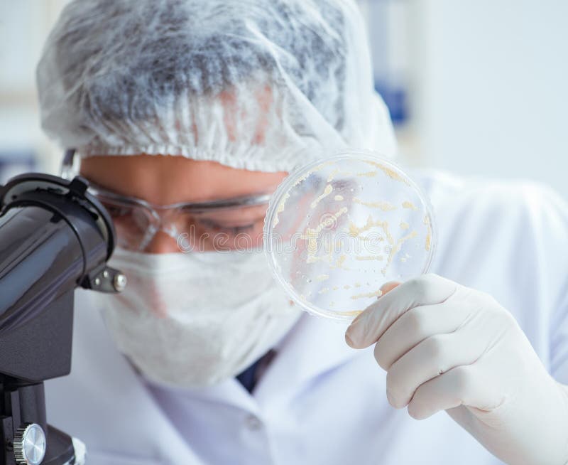 The Doctor Researching Virus Treatment in Lab Stock Photo - Image of ...