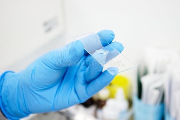 Doctor S Hands Holding Microscope Slide Stock Image - Image of ...