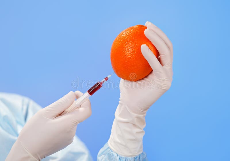 Doctor S Hands Injecting Orange Fruit Stock Image - Image of genetic ...