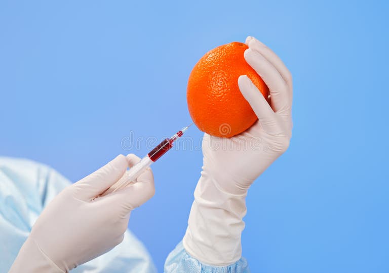 Doctor S Hands Injecting Orange Fruit Stock Image - Image of genetic ...