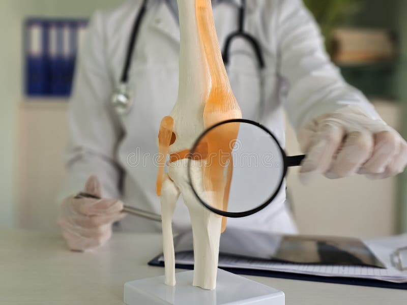 Doctor Shows Anatomy of Structure of Human Knee Joint Closeup Stock ...