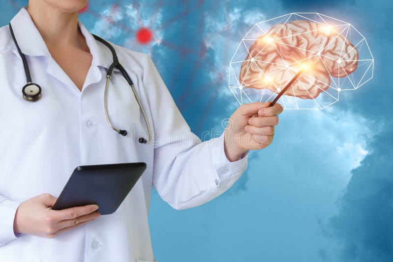 Doctor shows brain. stock photo. Image of medicine, patient - 90888688