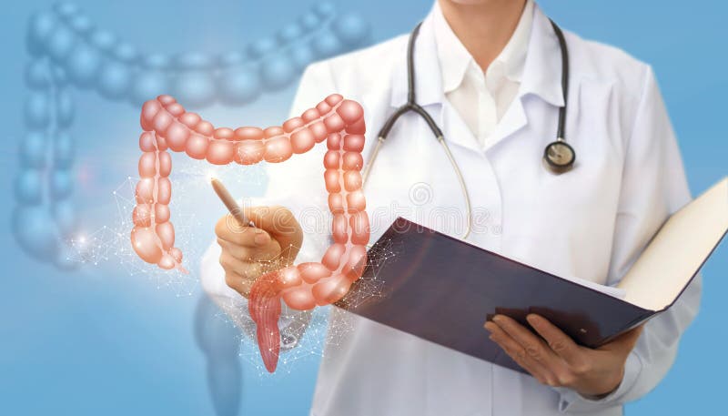 Doctor shows colon . stock photo. Image of profession - 110016922