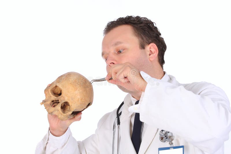Doctor with skull stock image. Image of examining, forensic - 5075985