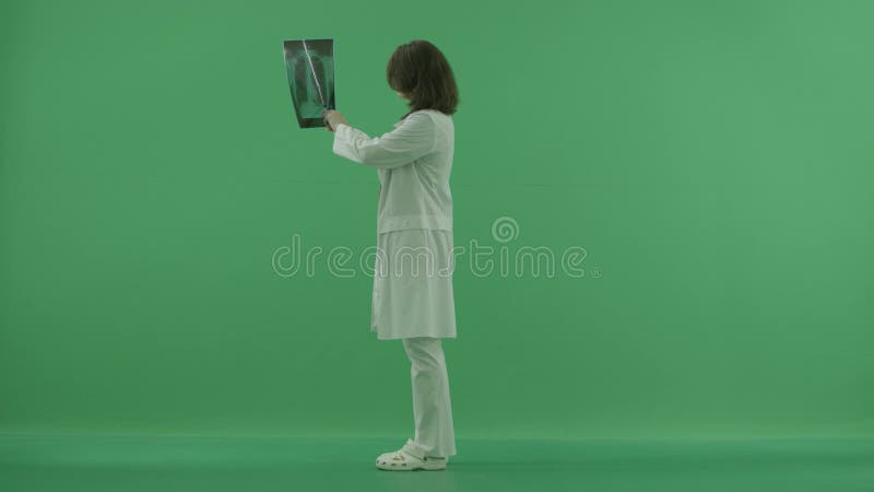 The Doctor Stands Back Side and Explore the X-ray, Which is Situated in ...