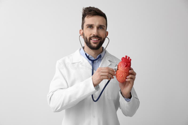 Doctor with Stethoscope and Model of Heart on White Background ...
