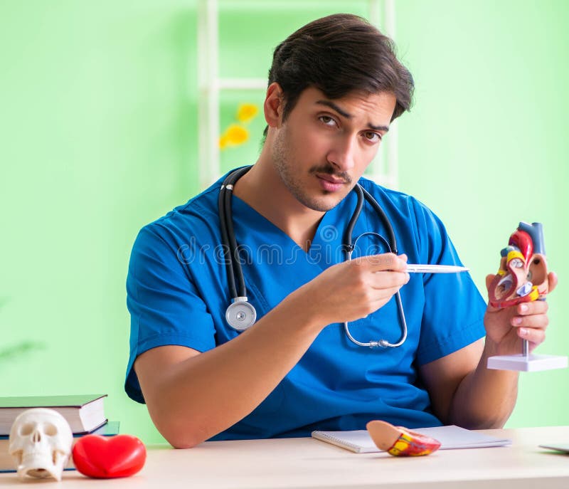Doctor Student Explaining Heart Problems Stock Image - Image of intern ...