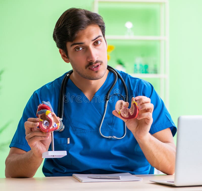 Doctor Student Explaining Heart Problems Stock Image - Image of doctor ...