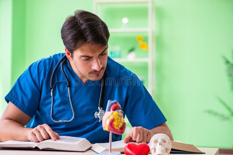 The Doctor Student Explaining Heart Problems Stock Photo - Image of ...