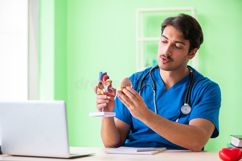 The Doctor Student Explaining Heart Problems Stock Image - Image of ...