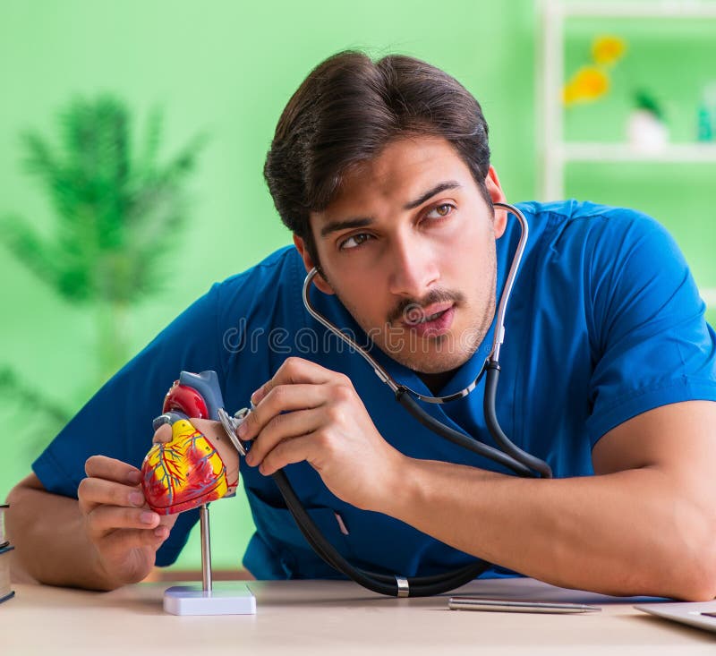 Doctor Student Explaining Heart Problems Stock Photo - Image of ...