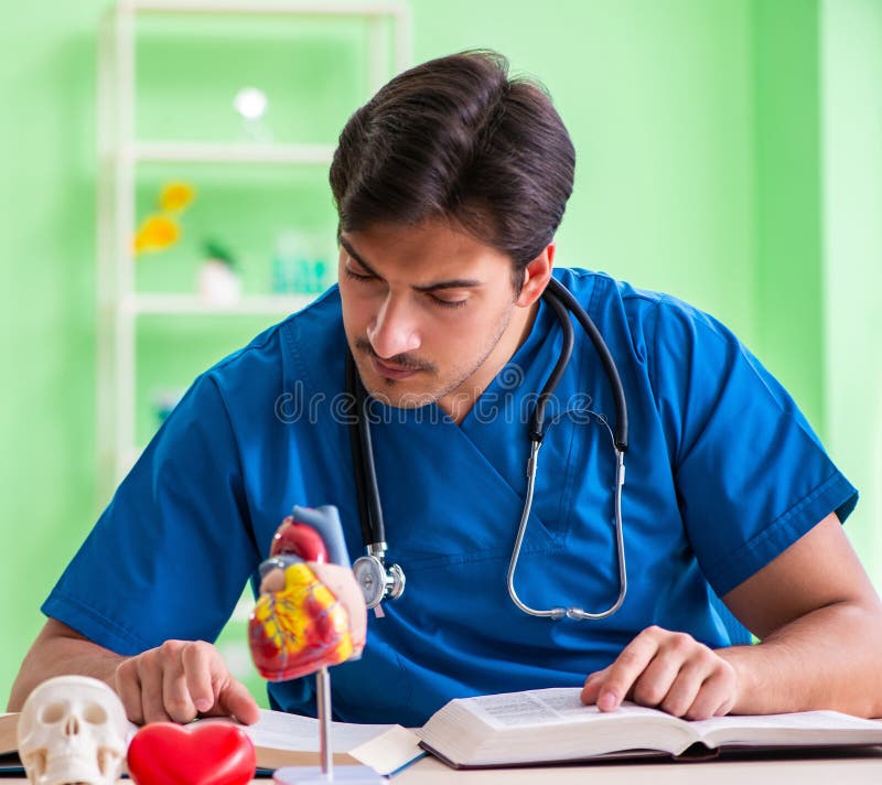 Doctor Student Explaining Heart Problems Stock Image - Image of clinic ...