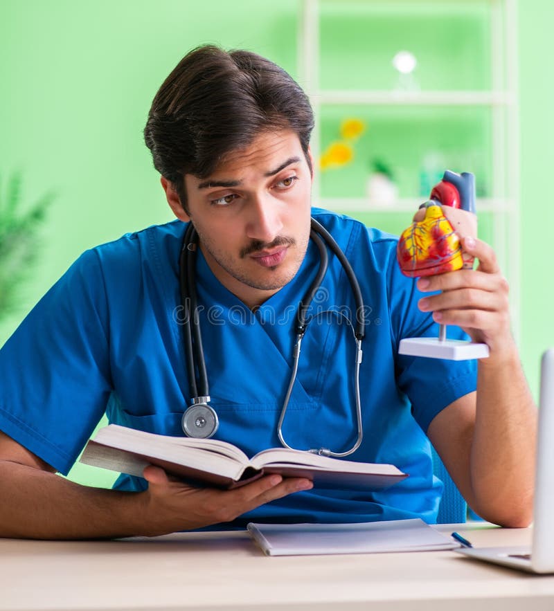 Doctor Student Explaining Heart Problems Stock Image - Image of illness ...