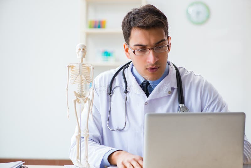 The Doctor Student Studying the Bones of Skeleton Stock Image - Image ...