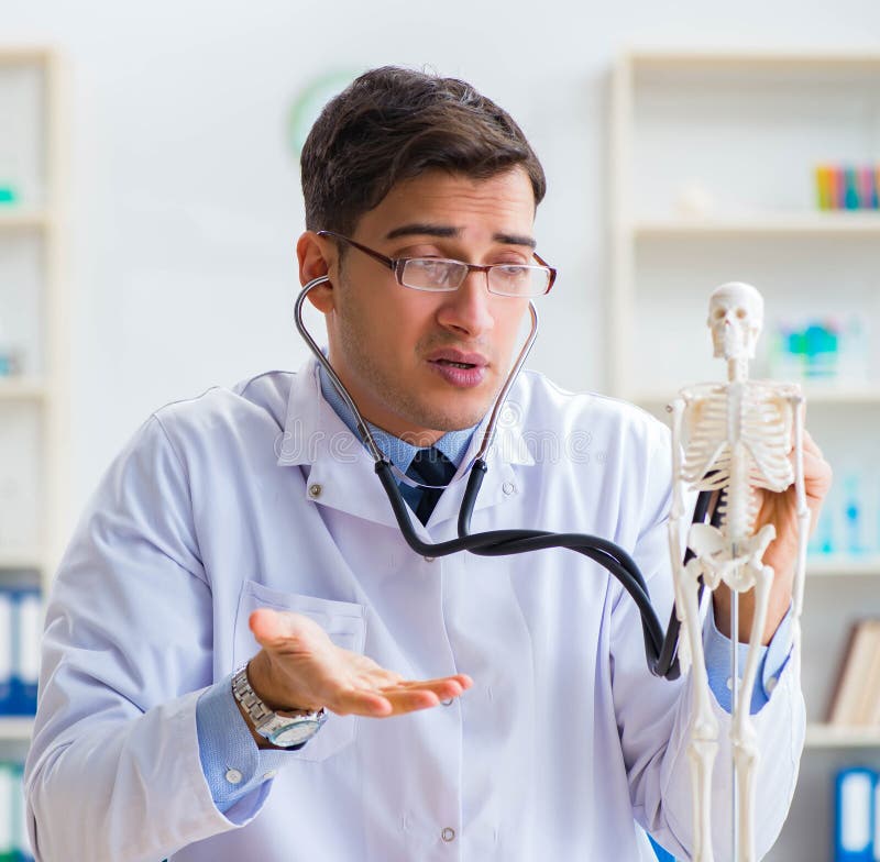 Doctor Student Studying the Bones of Skeleton Stock Image - Image of ...