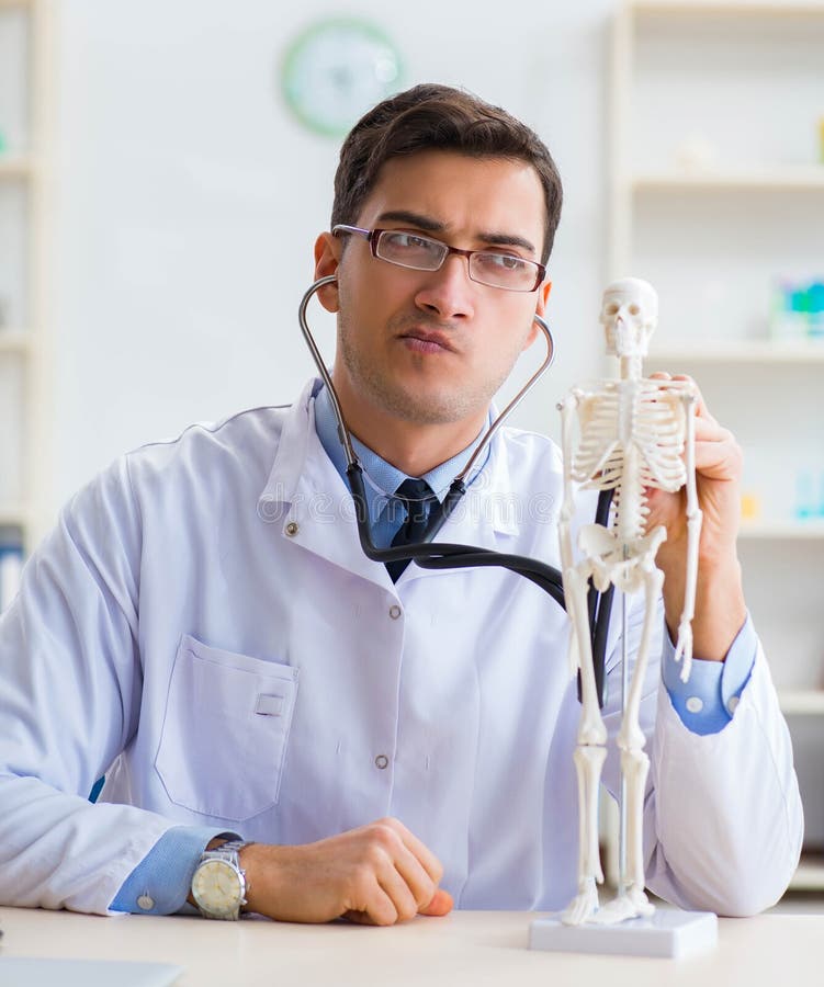 Doctor Student Studying the Bones of Skeleton Stock Photo - Image of ...