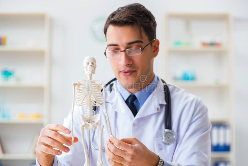 The Doctor Student Studying the Bones of Skeleton Stock Image - Image ...