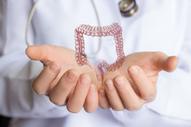 Doctor supporting colon stock photo. Image of professional - 318325388
