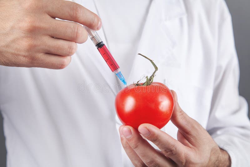 Doctor with Syringe and Tomato. Genetic Modification Stock Photo ...