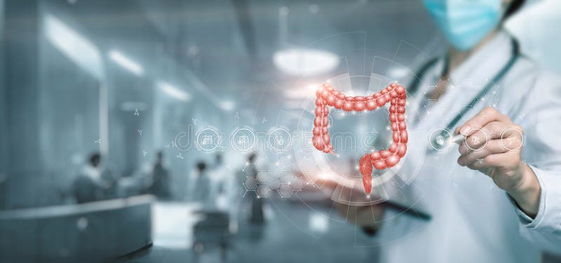 Doctor an Analysis of the Intestines and the Digestive System Stock ...