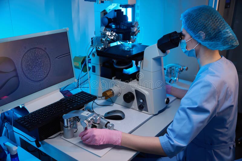 Doctor Working with Advanced Equipment for Embryology Analysis Stock ...