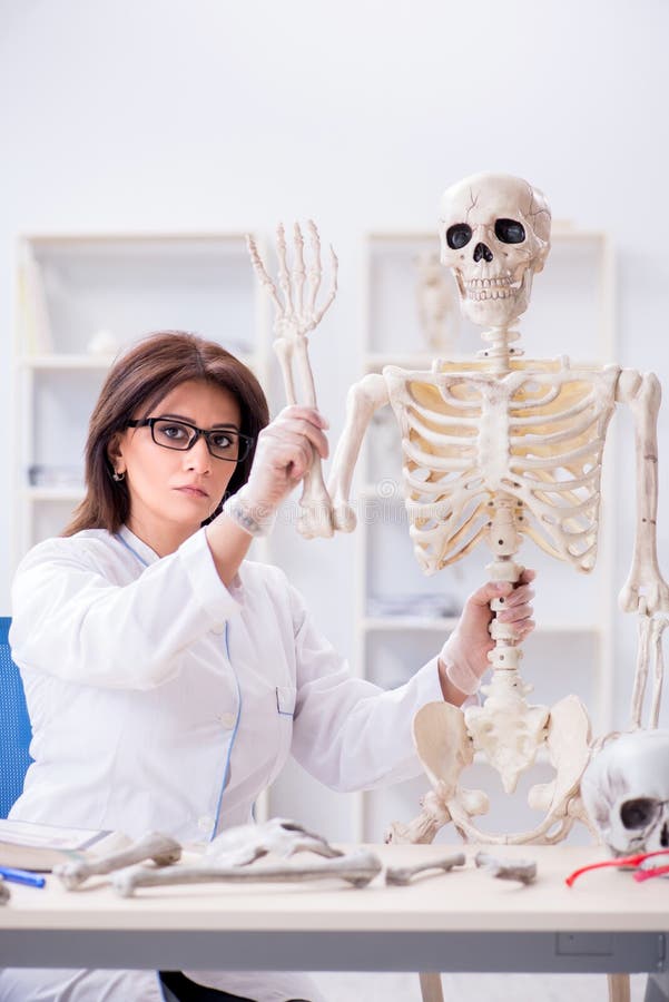 The Doctor Working in the Lab on Skeleton Stock Image - Image of clinic ...
