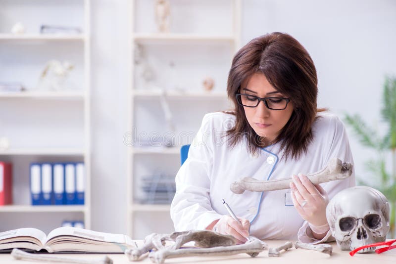The Doctor Working in the Lab on Skeleton Stock Photo - Image of ...