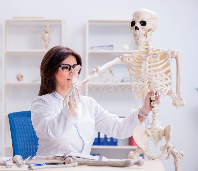 Doctor Working in the Lab on Skeleton Stock Photo - Image of bone ...
