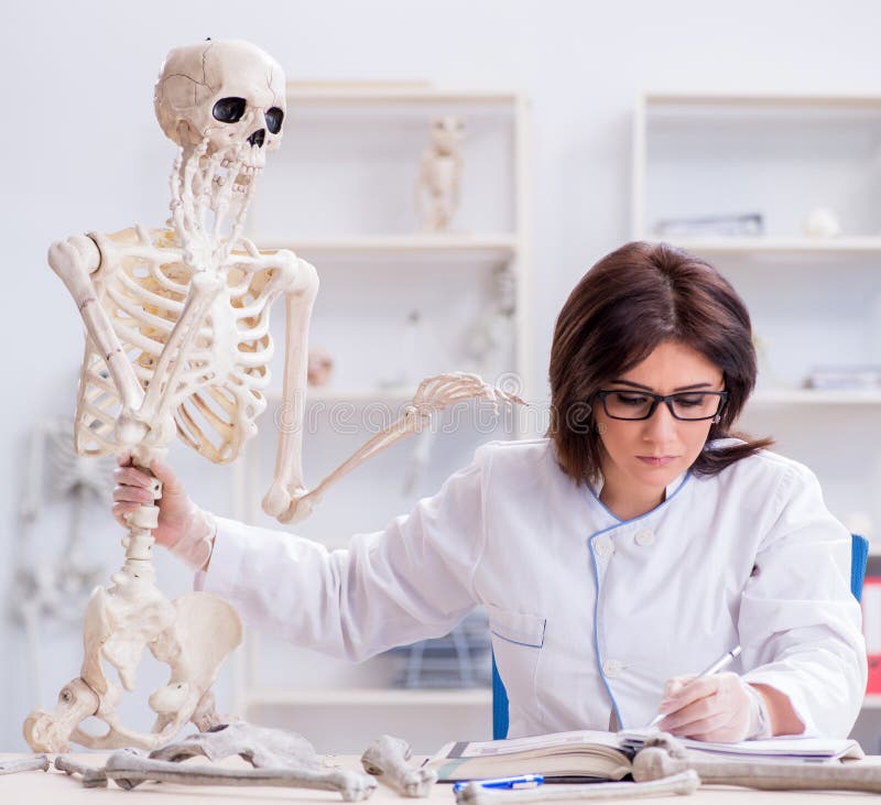 Doctor Working in the Lab on Skeleton Stock Photo - Image of case ...