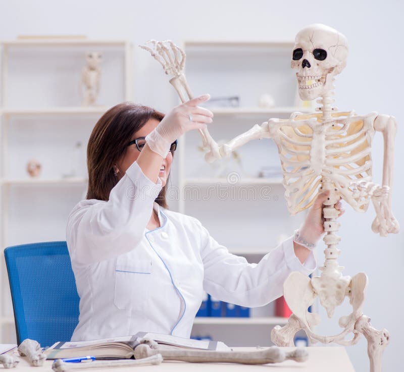 Doctor Working in the Lab on Skeleton Stock Image - Image of ...