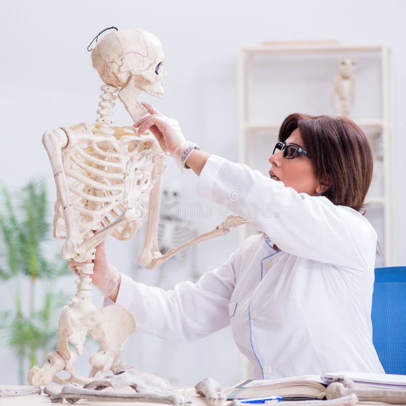 Doctor Working in the Lab on Skeleton Stock Photo - Image of ...