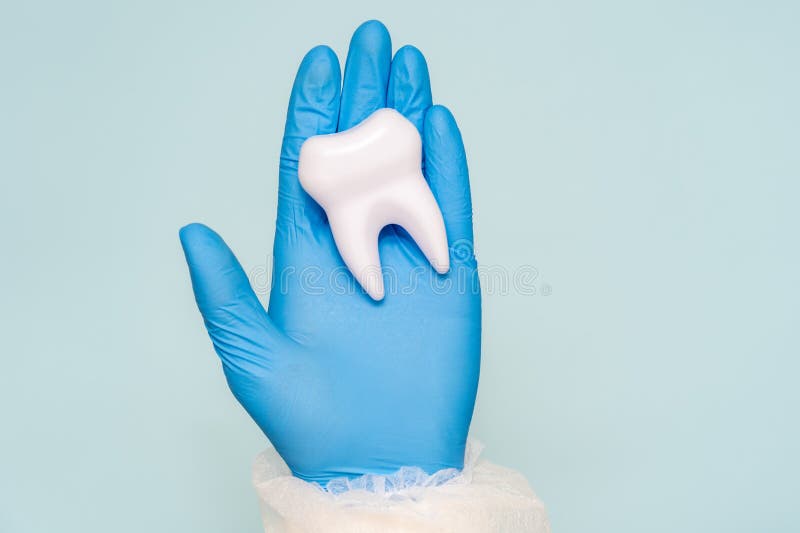 Doctors Hand Holding a Model of Tooth. Dentist Stock Image - Image of ...