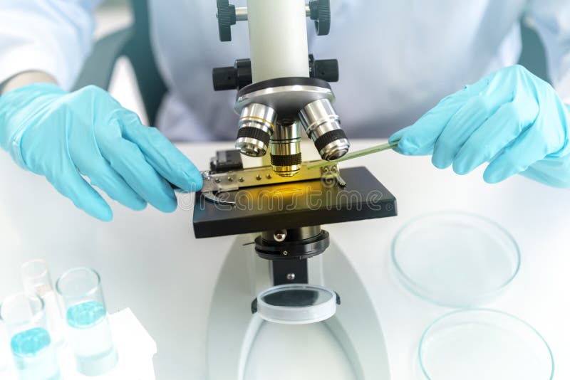 Doctors Researched Microscope Slides Under the Monocular Microscope ...