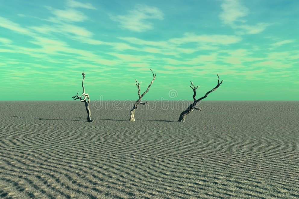 Dode Bomen en Woestijn stock foto. Image of takken, wolken - 8951140