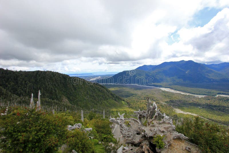 Dode Bomen Van Uitbarsting Van Chaiten-vulkaan, Chili Stock Foto ...