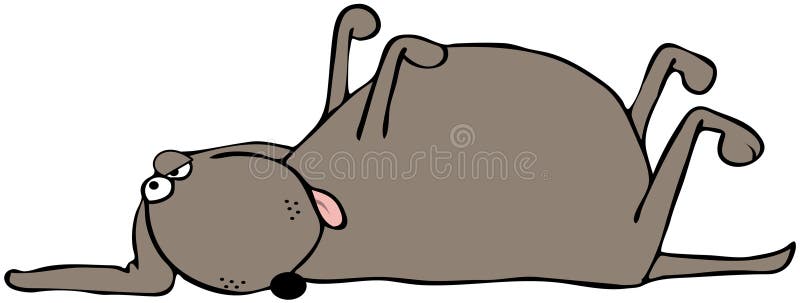 Dode Hond stock illustratie. Illustration of huisdier - 16279951