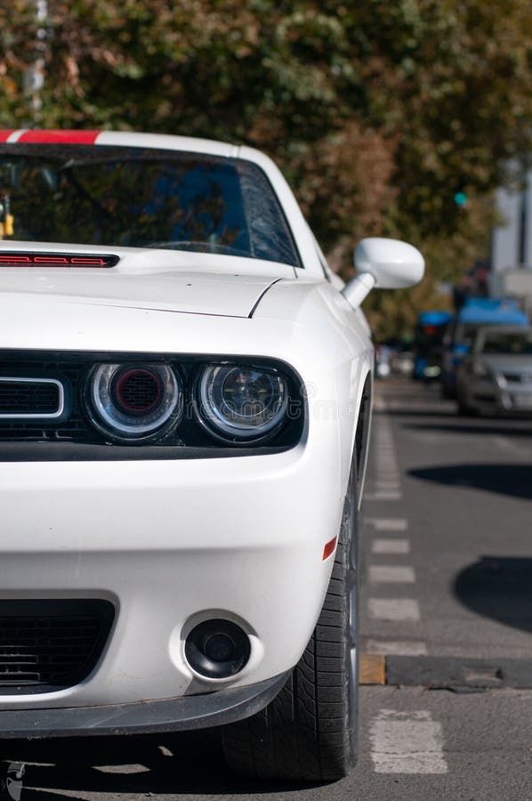 Dodge eyes looking at you editorial photography. Image of mountain ...