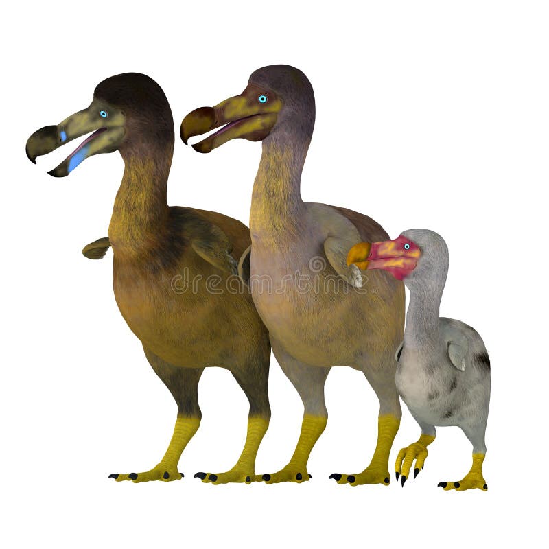 Dodo Bird Family stock illustrationer. Illustration av ryggradsdjur ...