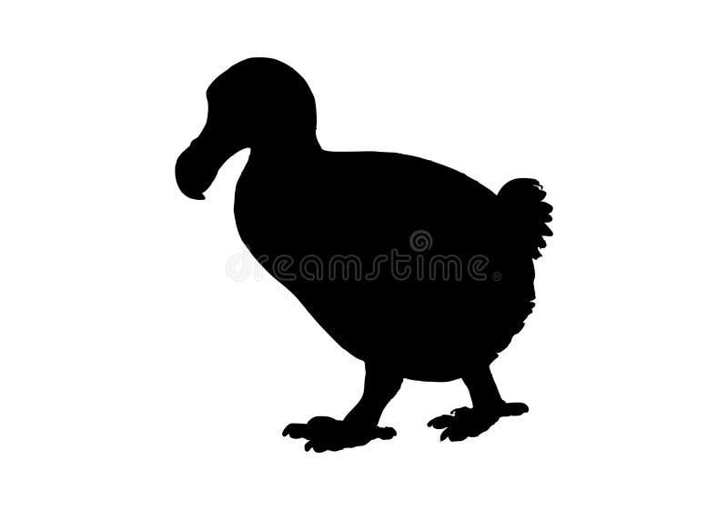 Dodo Bird Isolated On White Stock Illustration - Illustration of ...