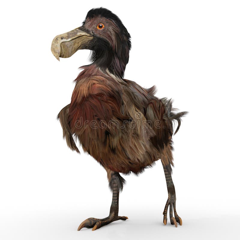 Dodo Bird Animal Character Cartoon Illustration Stock Illustration ...
