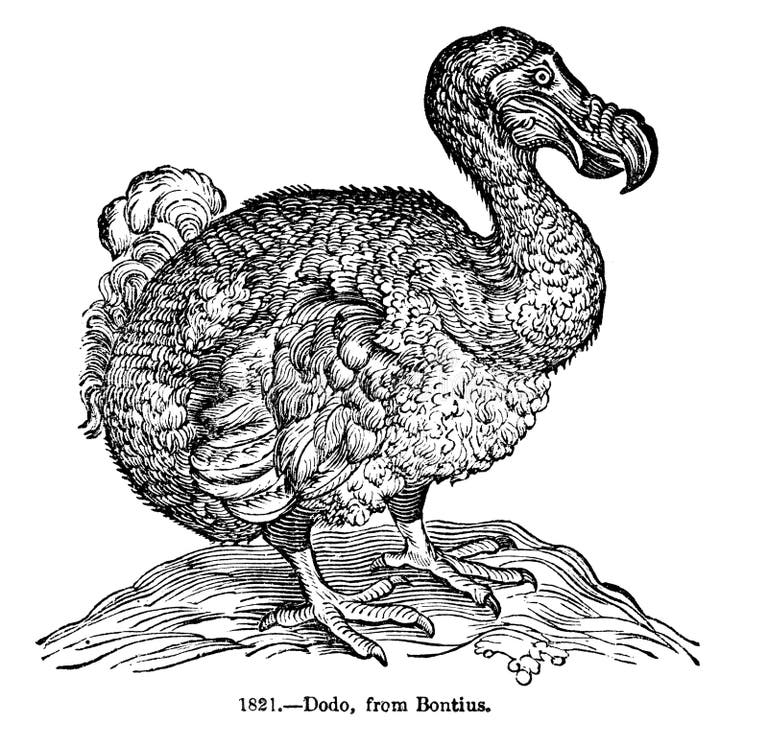 Dodo Birds Stock Illustrations – 147 Dodo Birds Stock Illustrations ...