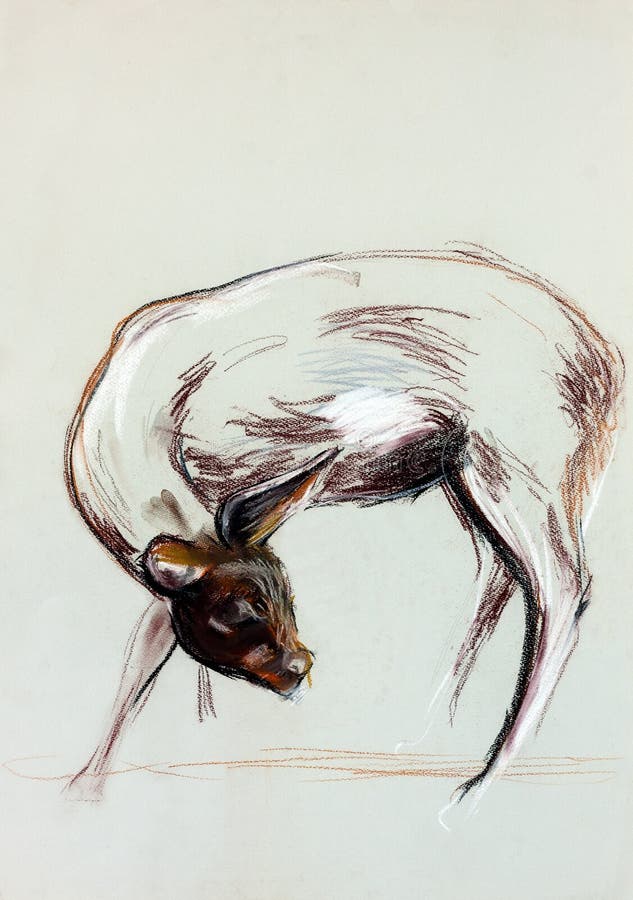 Doe drawing stock illustration. Illustration of black - 27011721