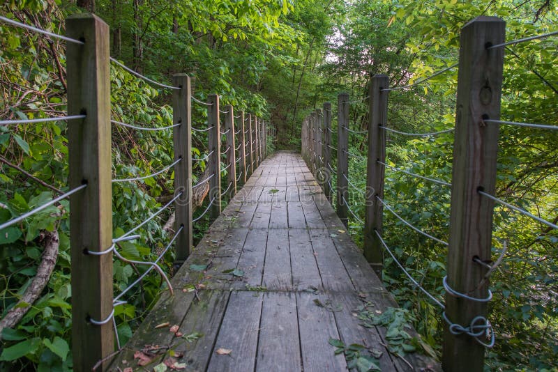 45,171 Doe Stock Photos - Free & Royalty-Free Stock Photos from Dreamstime