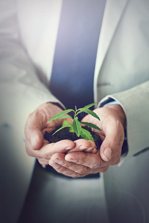 Does Your Business Need a Fresh Start. a Businessman Holding a Small ... Does Your Business Need a Fresh Start. a Businessman Holding a Small ...