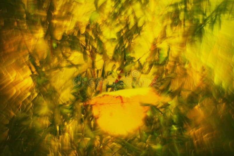 Flowers- Soft Focus Effect. Depth of Field Stock Illustration ...